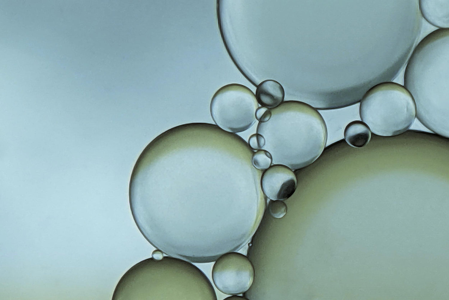 Contact Us for Personalized Support and Inquiries | Mend.me - MEND