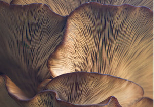 How Does Your Body Heal During Sleep? - MEND